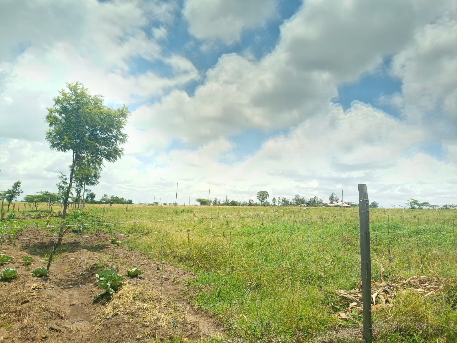 50 by 100 plot - kejafinder.com